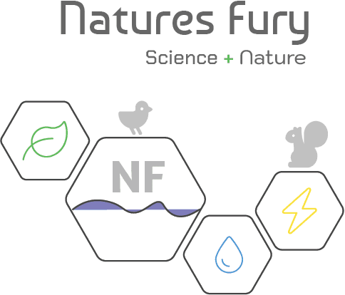 House Cleaning & Maid Services | Lickety Split Cleaning